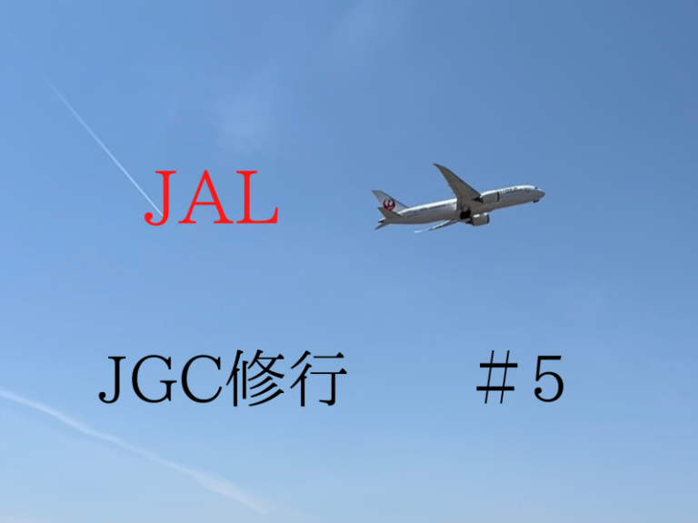 【JAL】オトナ女子の【JGC修行】#5 東京ー沖縄OKAタッチ後編【フライト金額開示】 | はっぴ〜りえブログ