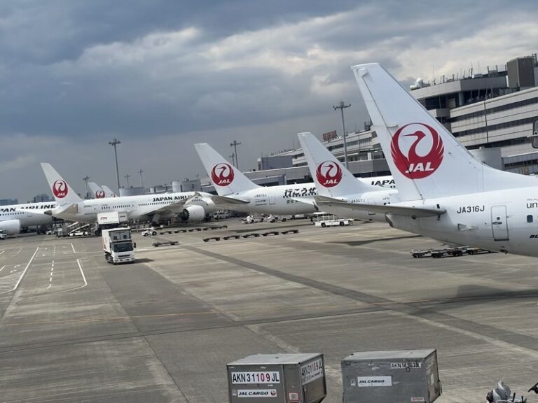 【JAL】オトナ女子の【JGC修行】#13 JMBサファイア到達までのフライト費用総額とFOP単価開示！ | はっぴ〜りえブログ